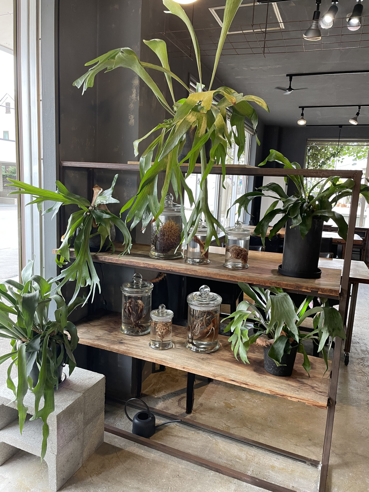 PLANT SATO COFFEE （佐藤珈琲）